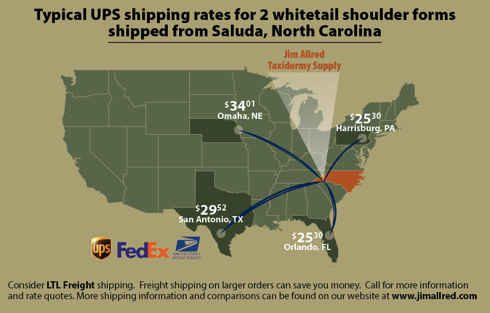 | TAXIDERMY SUPER – STORE