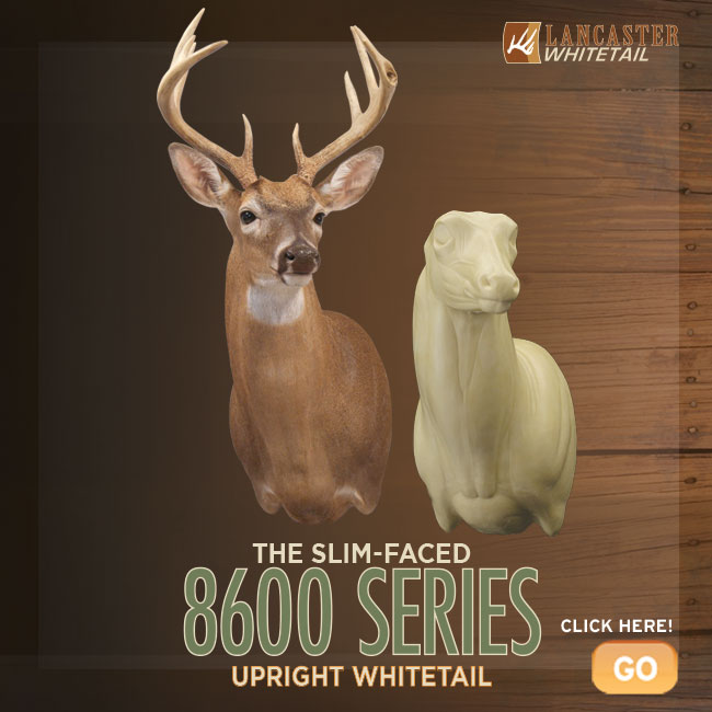 LANCASTER SERIES | Jim Allred Taxidermy Supply