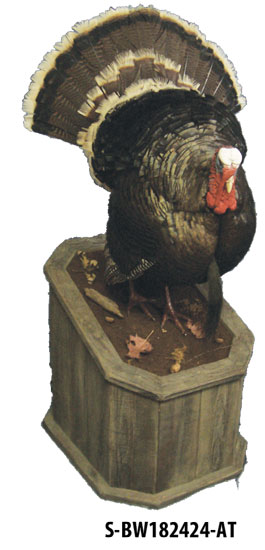 PEDESTALS, ANGLED TOP TURKEY